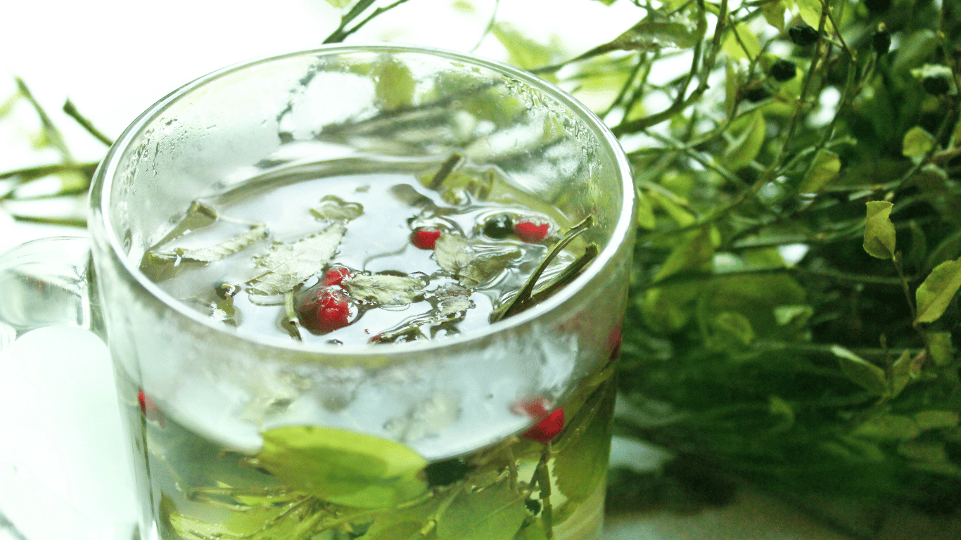 Your Ultimate Guide to the Benefits of Schisandra Berry Tea – Mother ...