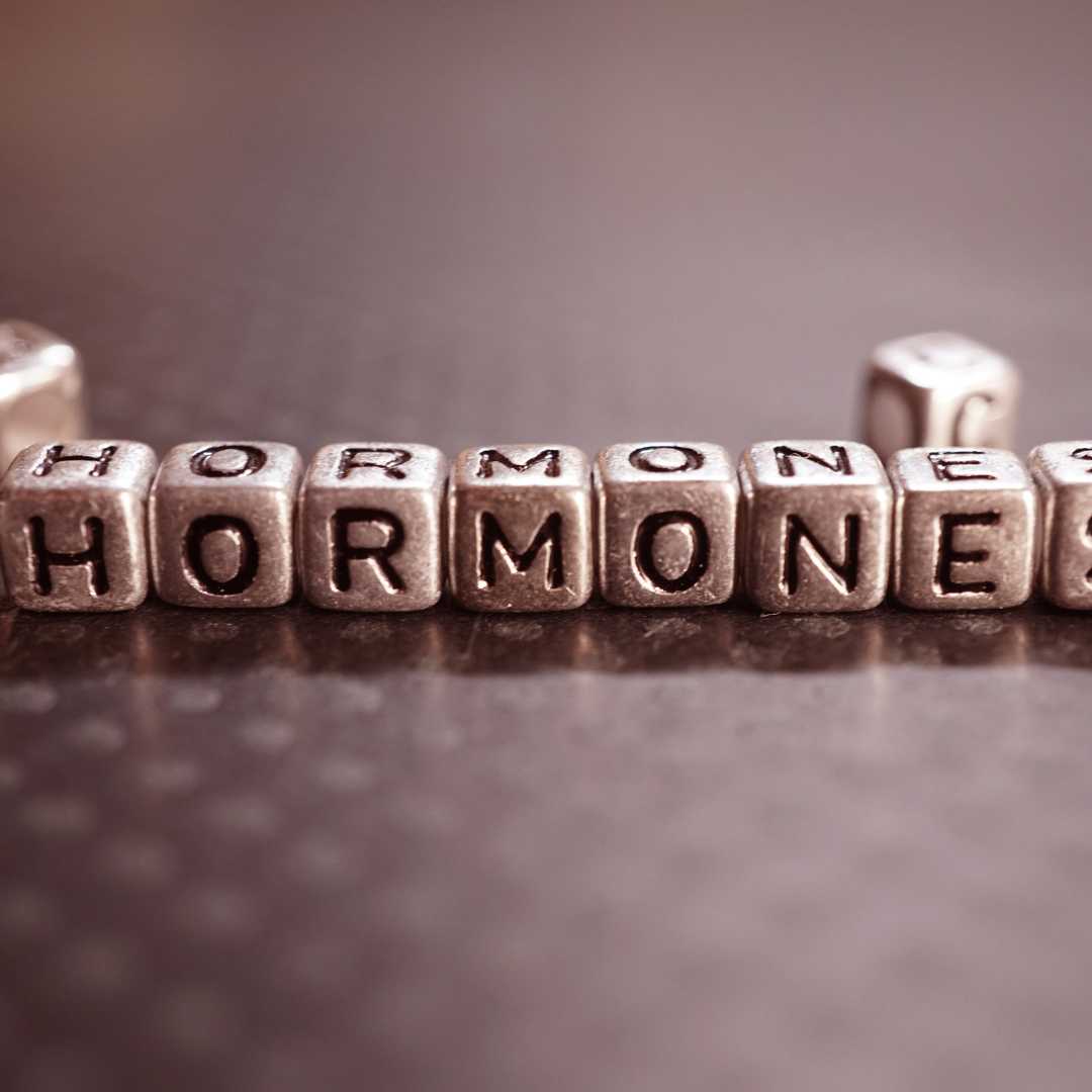What is the role of each hormone in perimenopause? – Mother Cuppa Tea
