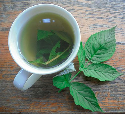 Exploring Lime Tree Leaves Tea and Its Wellness Advantages – Mother ...